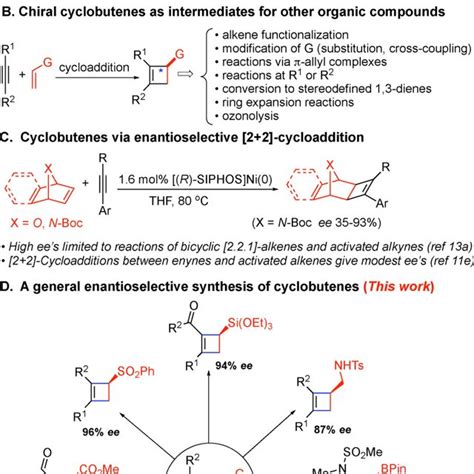 A A Propenyl Substituent In An Enyne Thus In The Cycloadduct 9a Is