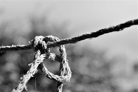 Free Images Tree Water Nature Branch Snow Winter Fence Barbed