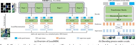 Figure 2 From Masked Image Modeling With Local Multi Scale Reconstruction Semantic Scholar