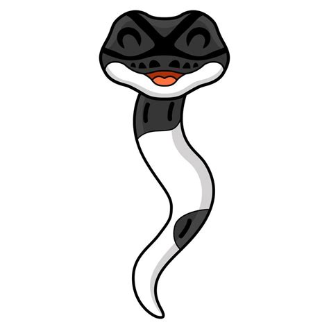 Cute Panda Pied Ball Python Cartoon 22431700 Vector Art At Vecteezy
