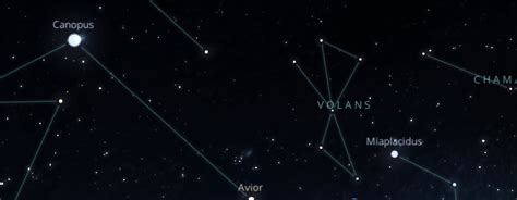 Volans Constellation The Ultimate Guide