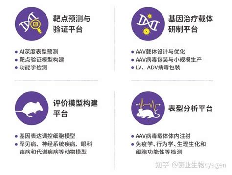 一文带你了解黏多糖贮积症——长不大的“粘宝宝” 罕见病科普 知乎