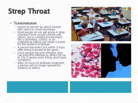 Diseases Of The Respiratory System Respiratory Tract Anatomy