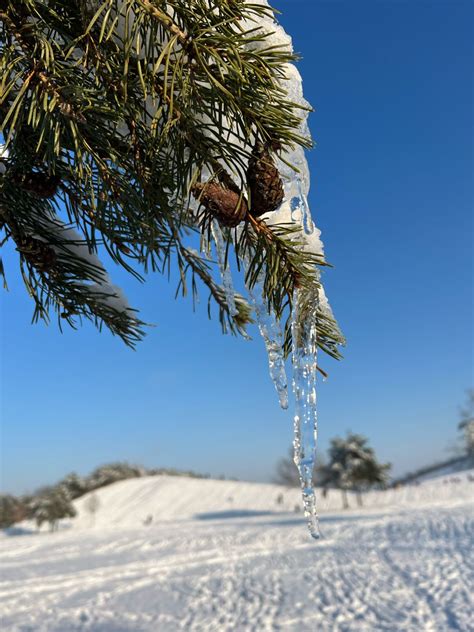 Dr Sajida Afzal Phd Cde® On Linkedin I Wish You All Happy Holidays Stay Happy And Make