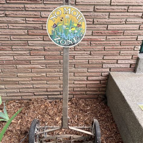 Firefly Habitat Dark Leafy And Pesticide Free For Lightening Bugs Etsy