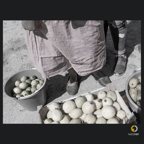 Gaby Can Photo ¿vas A Llevar Son A Cuarenta Lo