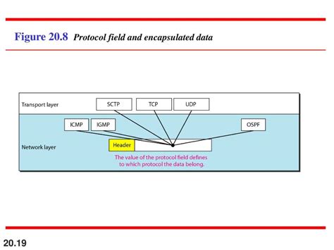 Network Layer Internet Protocol PowerPoint Slides MyPrivateTutor UAE