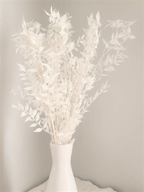 Premium Bleached White Italian Ruscus Bleached Flowers Preserved Fl