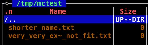 Feature Omitcut The Middle Part Of A Long Filename · Issue 868