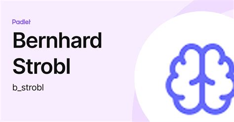 Bernhard Strobl B Strobl Profile Padlet