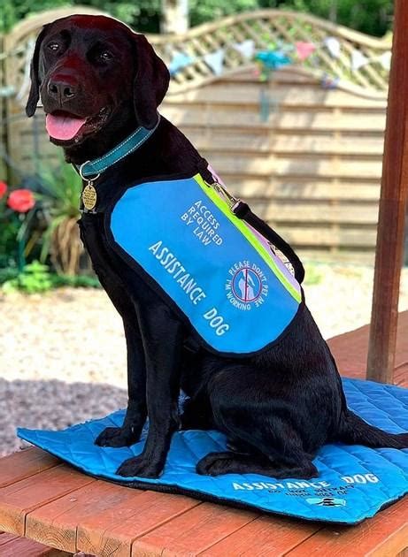 Julias Team Page Anna Ples