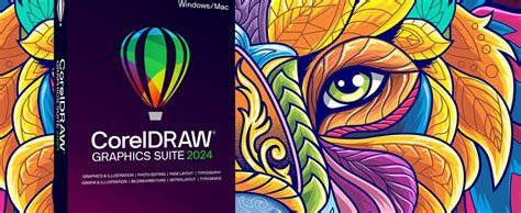 Coreldraw Graphics Suite 2024 скачать бесплатно ключ на русском