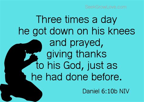 Seek Grow Love Growing Throughout The Year