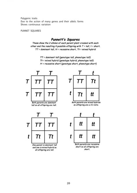 Biology Unit 4 Notes Biology Year 12 Vce Thinkswap
