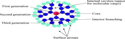 Structure Of Dendrimers Download Scientific Diagram