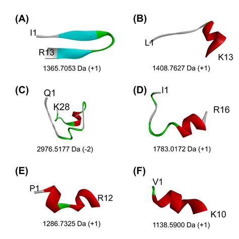 The 3d Structures Of Six Peptides Predicted To Bind To The Key Regions