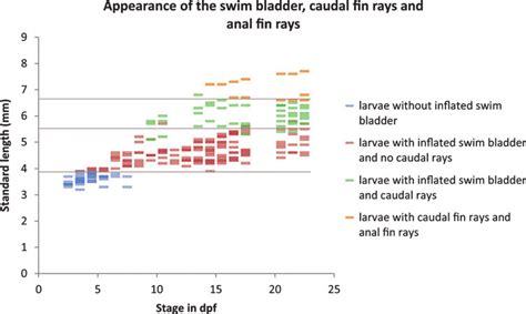 Standard Length Dependence Of Certain Larval Characteristics Surface