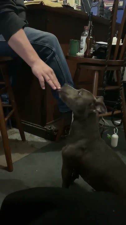 Lorretta Lynn At Lorretta Youtube