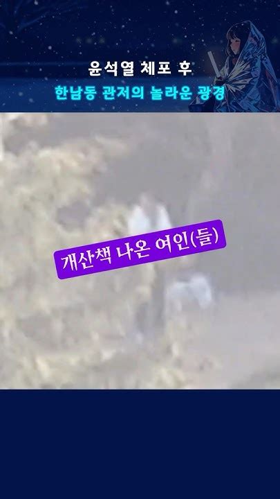 놀라운 광경 윤석열 체포후 한남동 관저에서 관찰된 강아지 산책 Youtube