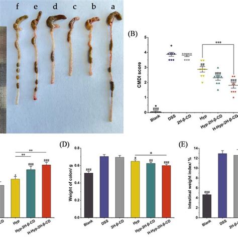 Duration Curves Of Hyperoside After Gavage Administration Of Hyp And