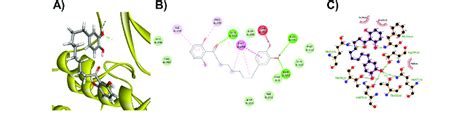 3d A 2d B Interaction Visualization Of Malabaricone C Binding Mpro