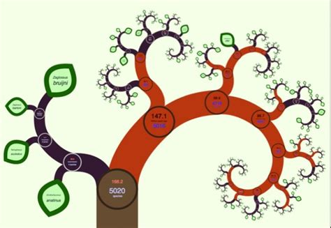 Tree Science