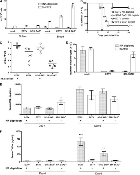 The Ectromelia Virus Spi 2 Protein Causes Lethal Mousepox By Preventing