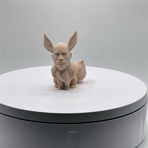 Eevee Rock 3d Printed Tiktok Shop