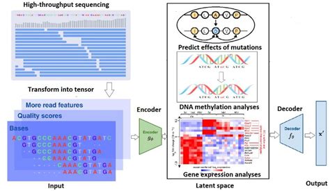 vaes in sequence analyses source adapted from [8] download
