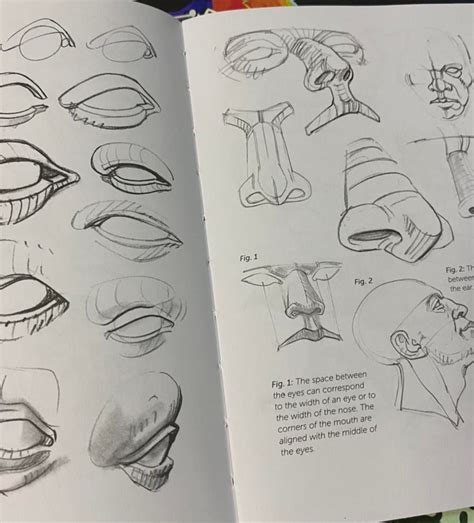 Morpho Simplified Forms