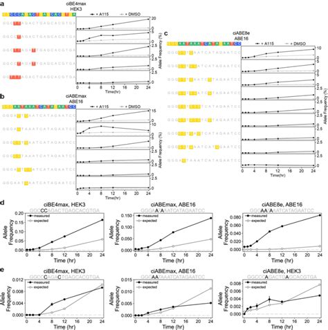 Chemically Controlled Base Editors Reveal The Kinetics Of Download