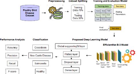 Figure 1 From Mathematical Formulation Of Deep Learning Model For Poultry Disease Classification