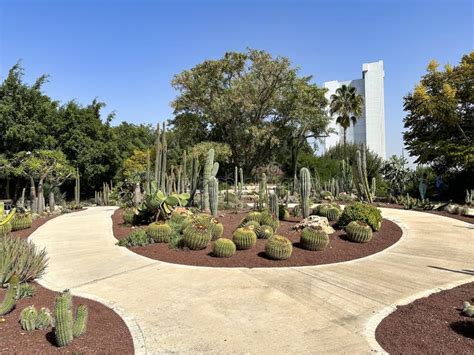 Cactus Park On The The Campus Of The Weizmann Institute Of Science