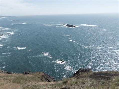 Otter Crest State Scenic Viewpoint Go Wandering