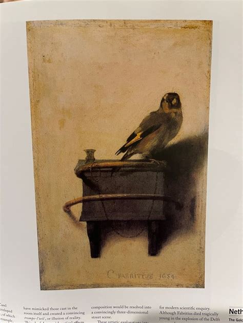Carel Fabritus “the Goldfinch” The Netherlands 1654 Goldfinch