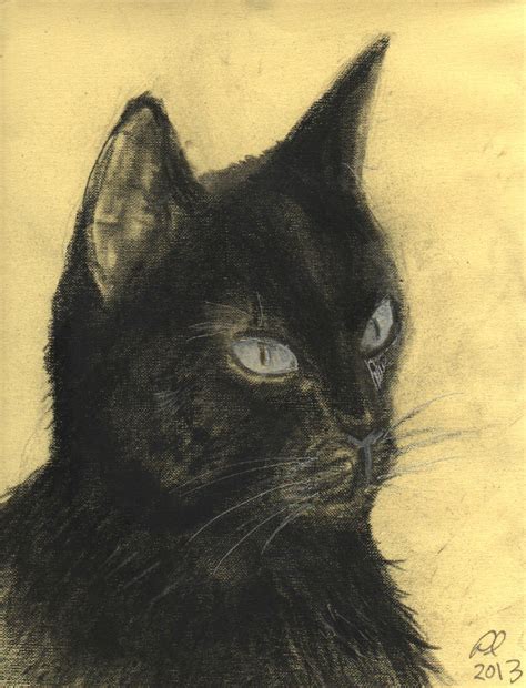 Beloved Black Cat Drawings From Years Past On Behance