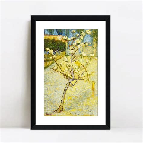 梵高梨花梵高杏花梵高的杏花画解析大山谷图库