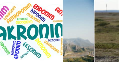 List Bahasa Curated By Ivan Lanin Medium