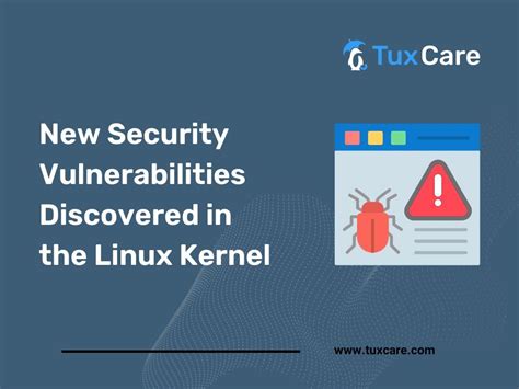 Linux Kernel Nationalvulnerabilitydatabase Tuxcarejapan Tuxcare Opensource Vulnerability