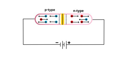 Pn Junction Diode Forward And Reverse Bias