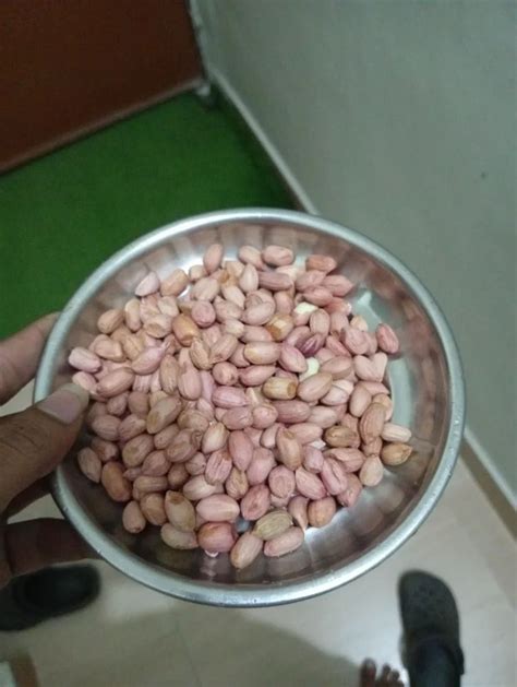 With Shell Groundnut 250 G At ₹ 65kg In Karera Id 2855319493662