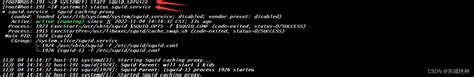 《linux运维总结：内网服务器通过代理访问外网服务器（方法一）》 linux系统上面内网服务器通过代理地址访问一个新的地址 内网服务器怎么