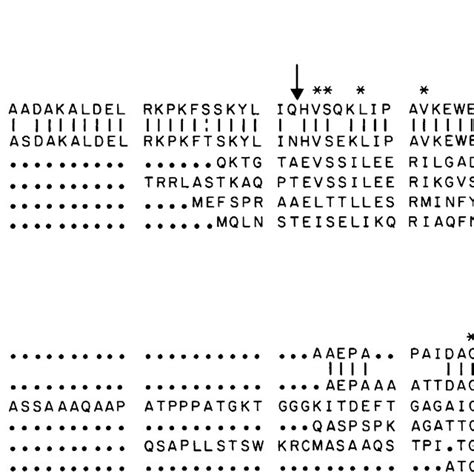Sequence Alignment Of The N Terminal Regions From The A And B Subunits