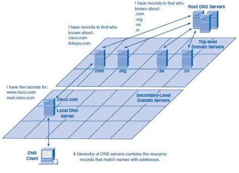 2 Hierarchy Of Dns Servers The Different Top Level Domains Represent Download Scientific