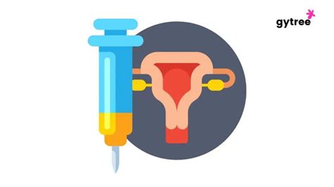 Hpv And Cervical Cancer Links Tests And Vaccination