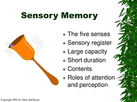 Ppt Cognitive Views Of Learning Powerpoint Presentation Id190028