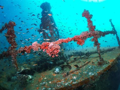 Blue View Divers 2025 All You Need To Know Before You Go With Reviews