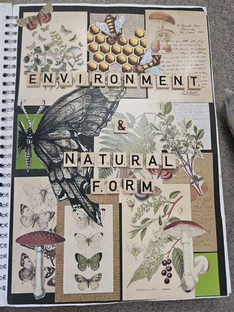 Natural Forms Mind Mapmood Board Gcse Art Natural Form Art Gcse