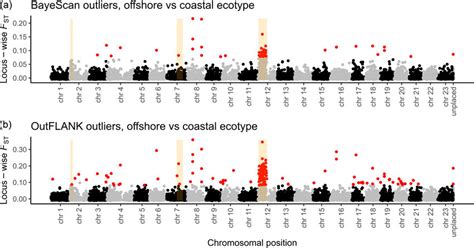 Manhattan Plots Of Pairwise F St Between The Two Ecotypes For All