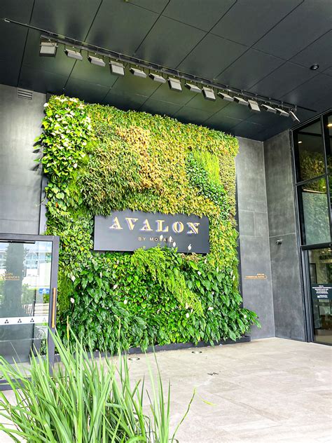 Avalon Maroochydore For Sale At Rickey Park Blog